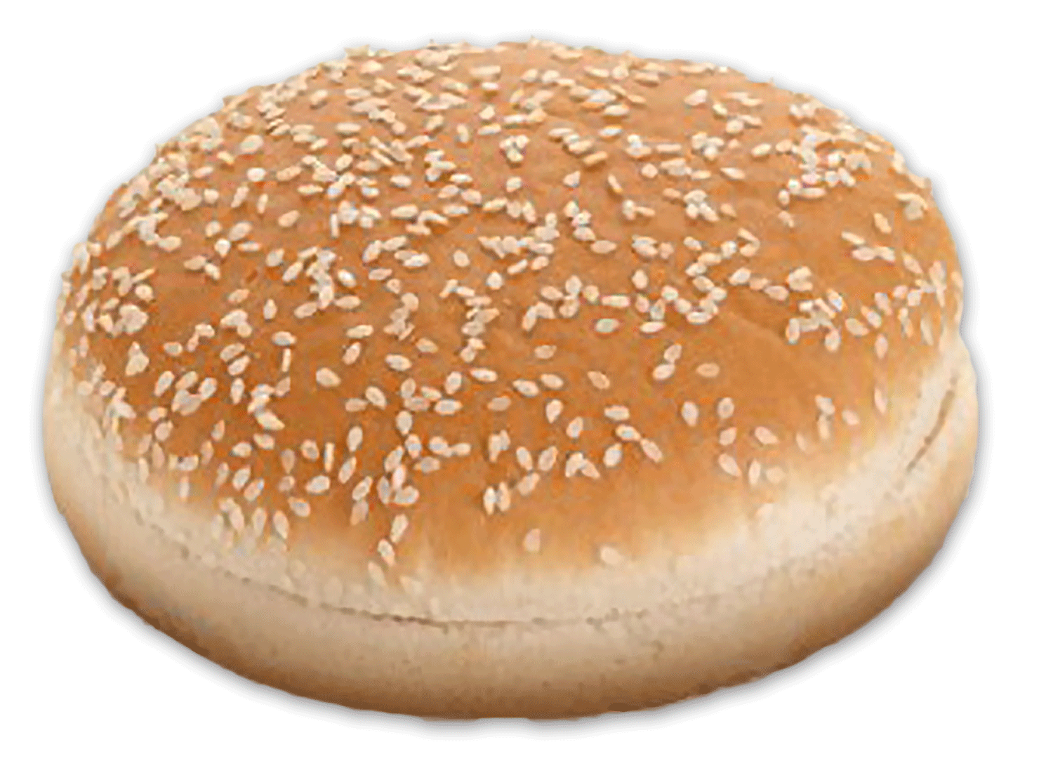 Pan burguer Aldeana sésamo negro 85g: Angellinares.com: Pan Fast Food